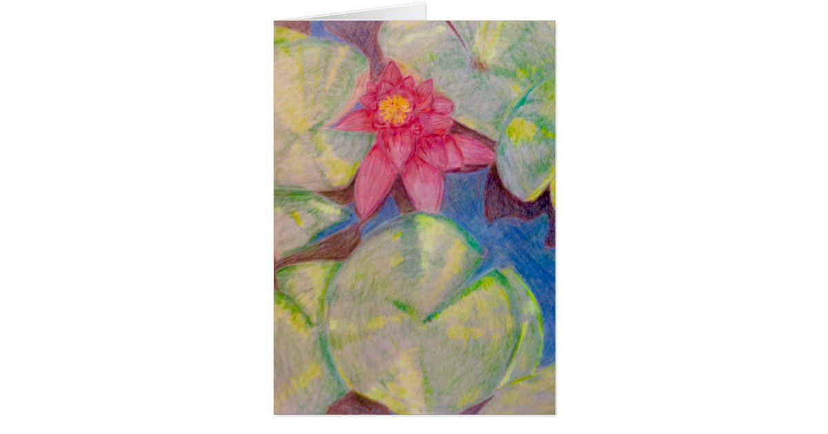 Water Lilly Card | Zazzle