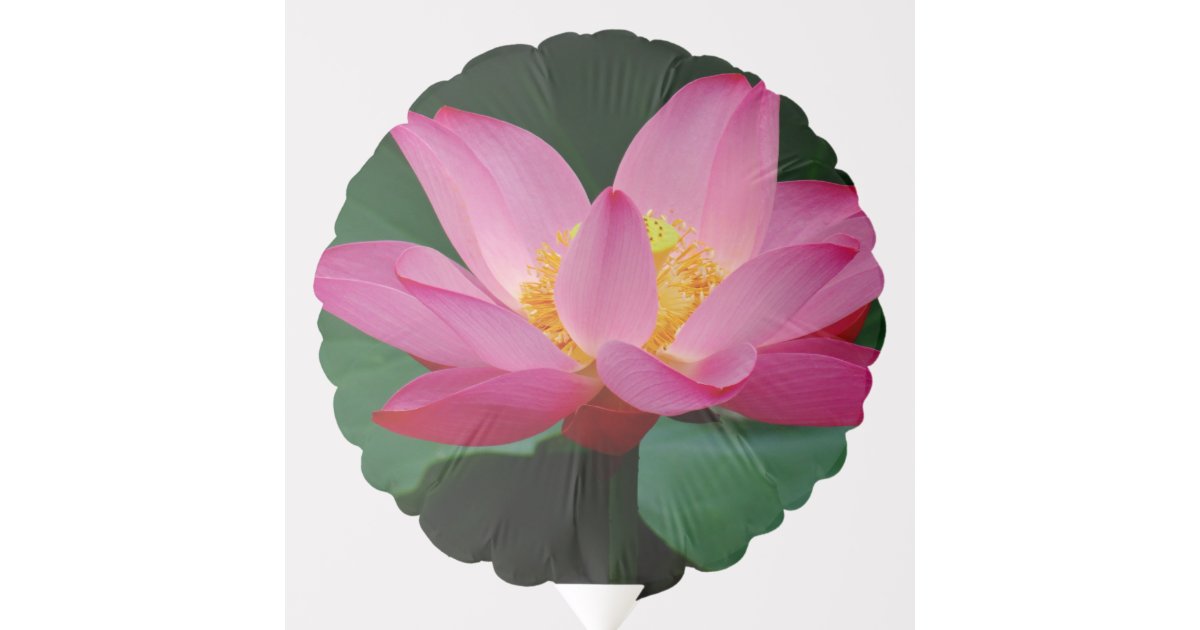 Water Lily Balloon | Zazzle