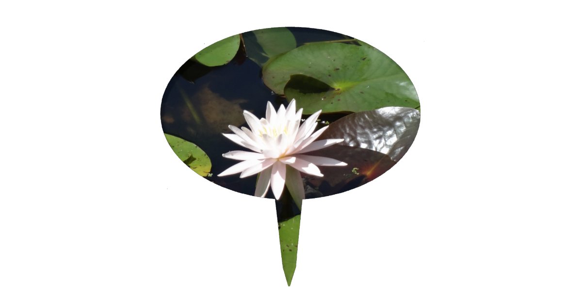 Water Lily Cake Topper | Zazzle