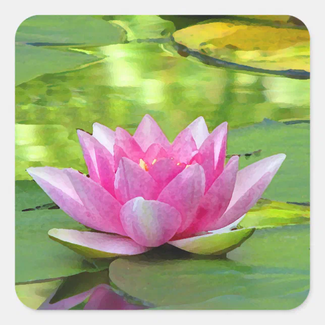 Water Lily Square Sticker | Zazzle