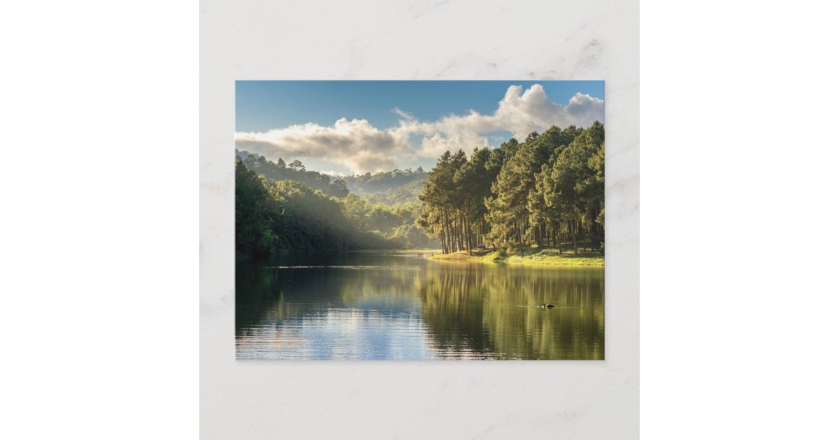 Water | Pang Oung Lake & Pine Forest Thailand Postcard | Zazzle