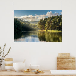 Water | Pang Oung Lake & Pine Forest Thailand Poster | Zazzle