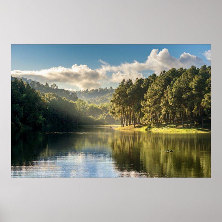 Water | Pang Oung Lake & Pine Forest Thailand Poster | Zazzle