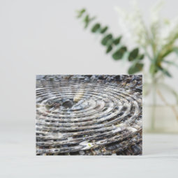 Water Ripple on Pebbles Postcard | Zazzle