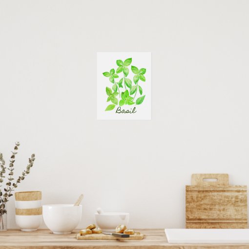 Watercolor Basil Illustration Poster | Zazzle