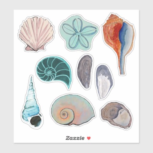 Watercolor Beach Seashells Variety Sticker | Zazzle