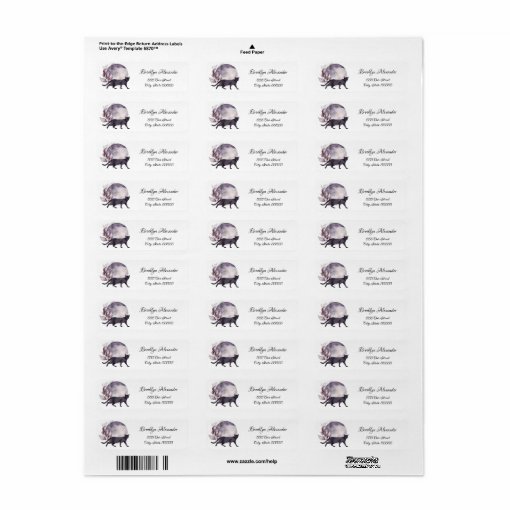 Watercolor Black Cat Elegant Modern Cursive Script Label | Zazzle