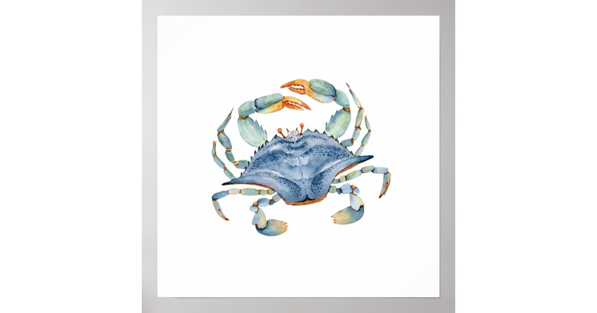 Watercolor Blue Crab Poster | Zazzle