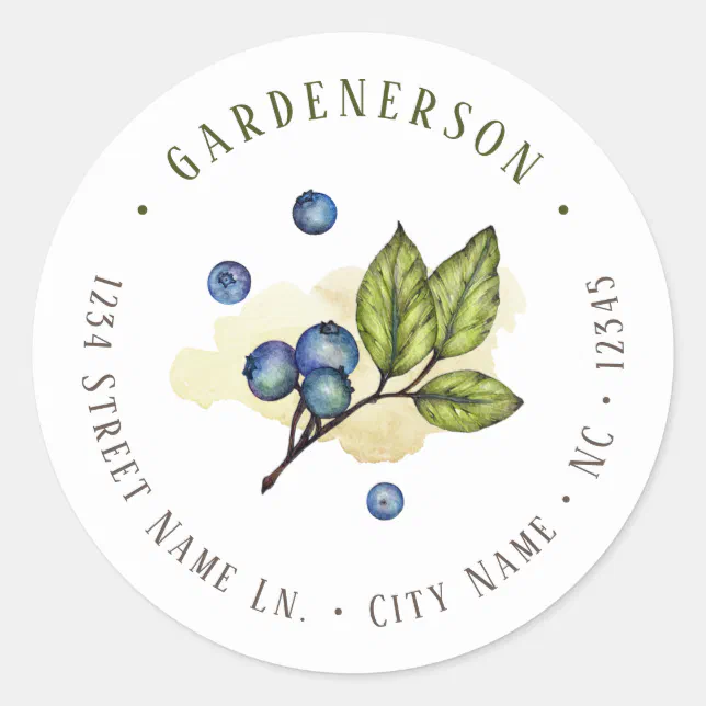 Watercolor Blueberries Classic Round Sticker | Zazzle