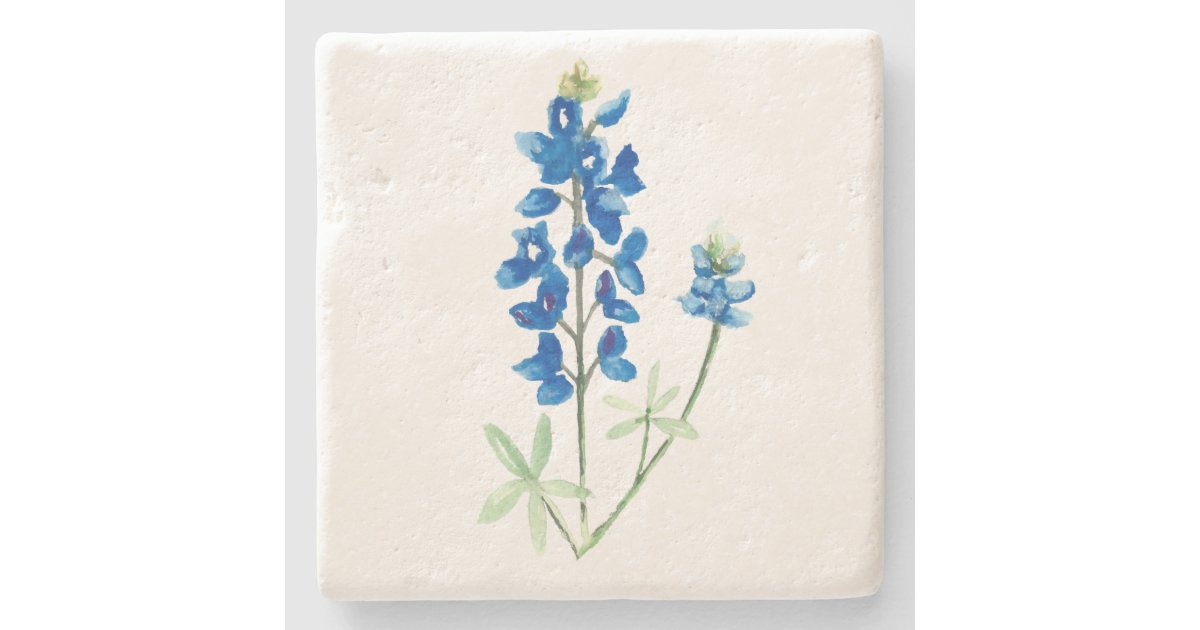 Watercolor Bluebonnet 6 Stone Coaster | Zazzle