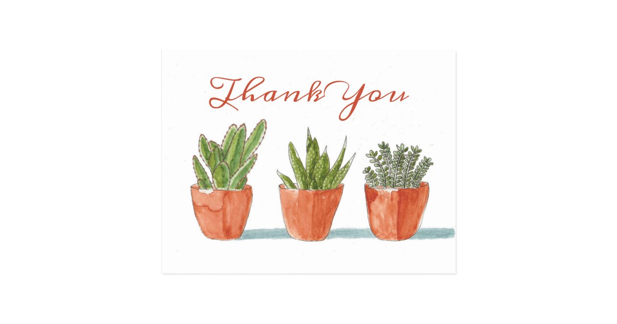 Watercolor Boho Cactus Thank You Return Address Postcard | Zazzle.com