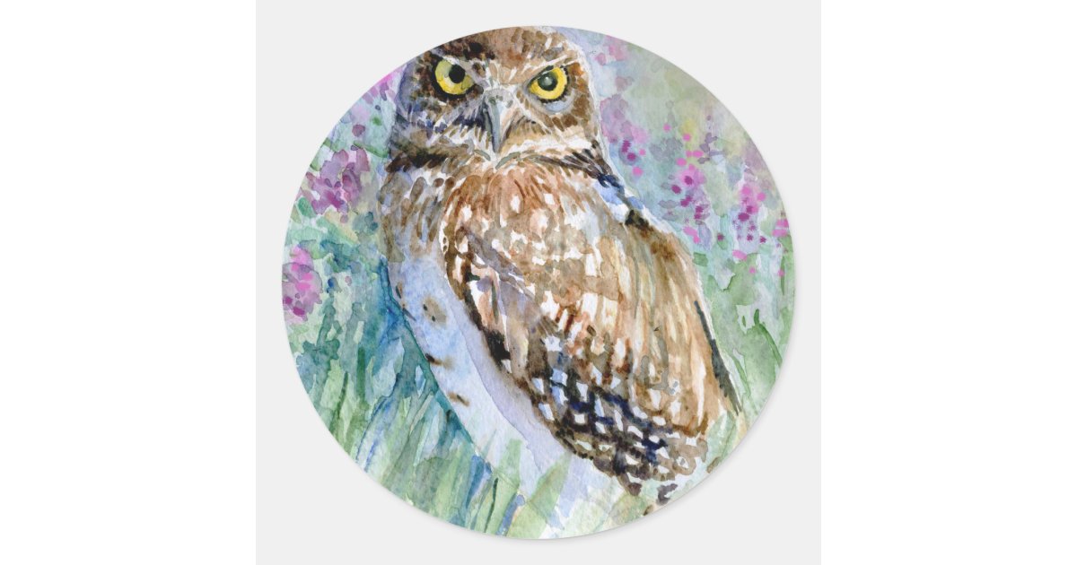 Watercolor Burrowing owl Classic Round Sticker | Zazzle