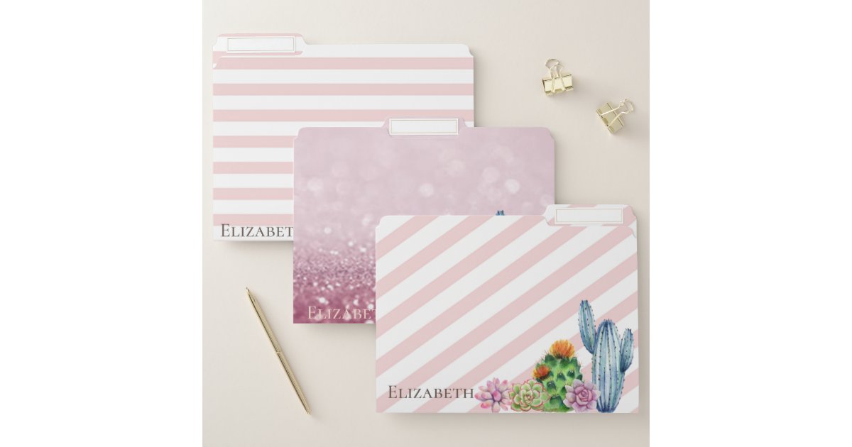 Watercolor Cactus Succulent,Bokeh Striped File Folder | Zazzle