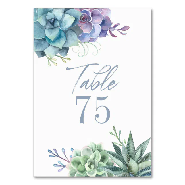 Watercolor Cactus Succulents Table Number | Zazzle