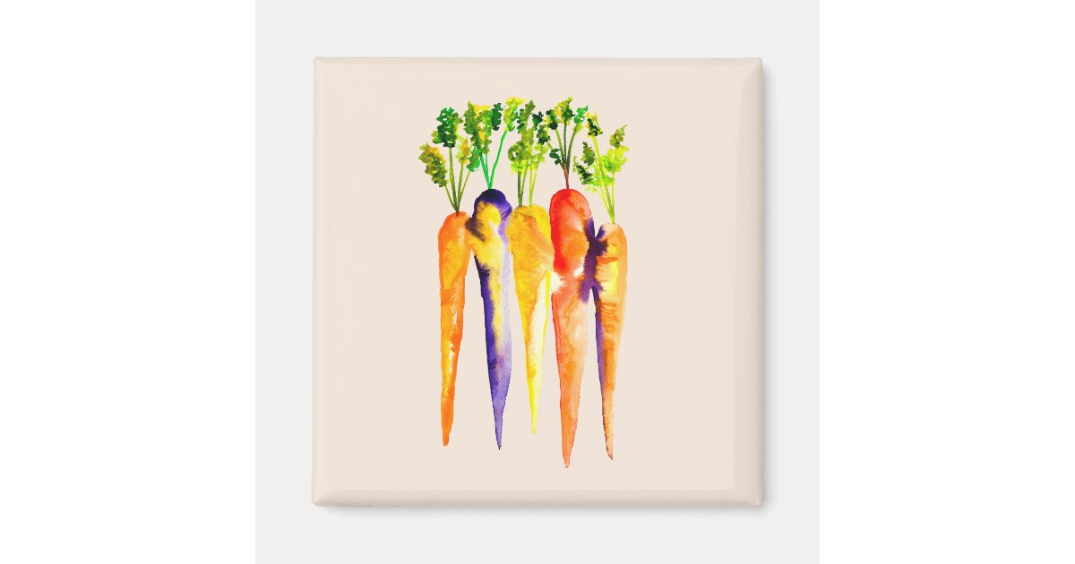 Watercolor carrots colorful food art magnet | Zazzle