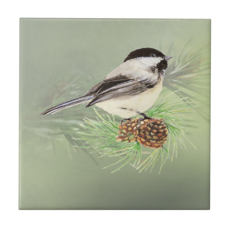 Watercolor Chickadee Bird in Pine Tree Nature art Ceramic Tile | Zazzle