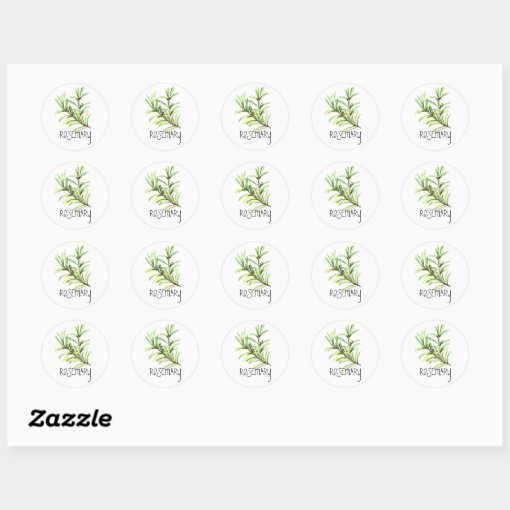 Watercolor Herb Rosemary Classic Round Sticker | Zazzle