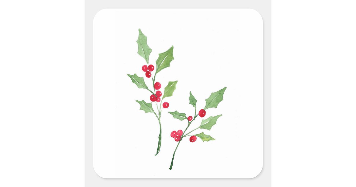 Watercolor Holly Sprigs Square Sticker | Zazzle