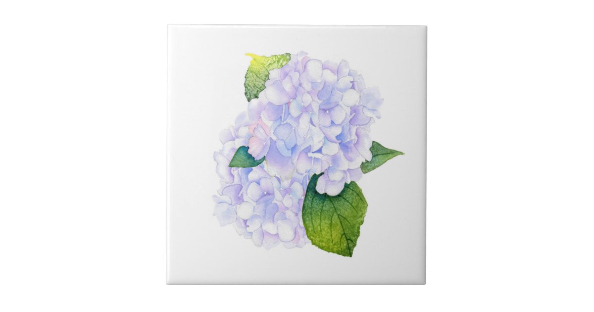 Watercolor Hydrangeas Ceramic Tile | Zazzle