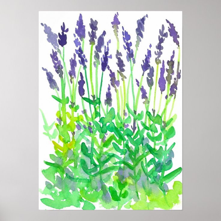 Watercolor Lavender Flower Garden Poster | Zazzle