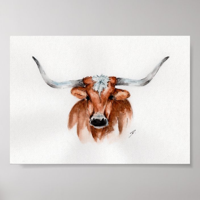 Watercolor Longhorn Poster | Zazzle.com