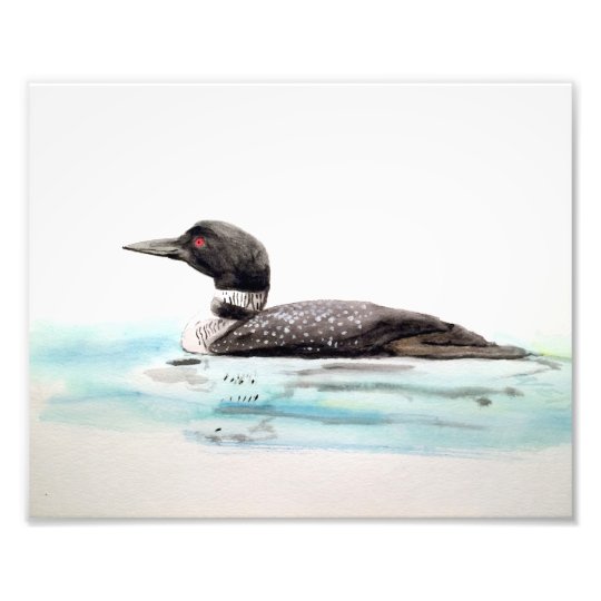Watercolor Loon Art Photo Print | Zazzle.com