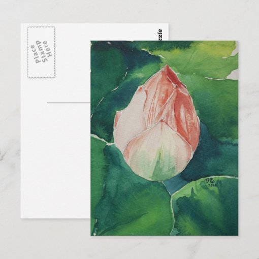Watercolor Lotus Postcard | Zazzle