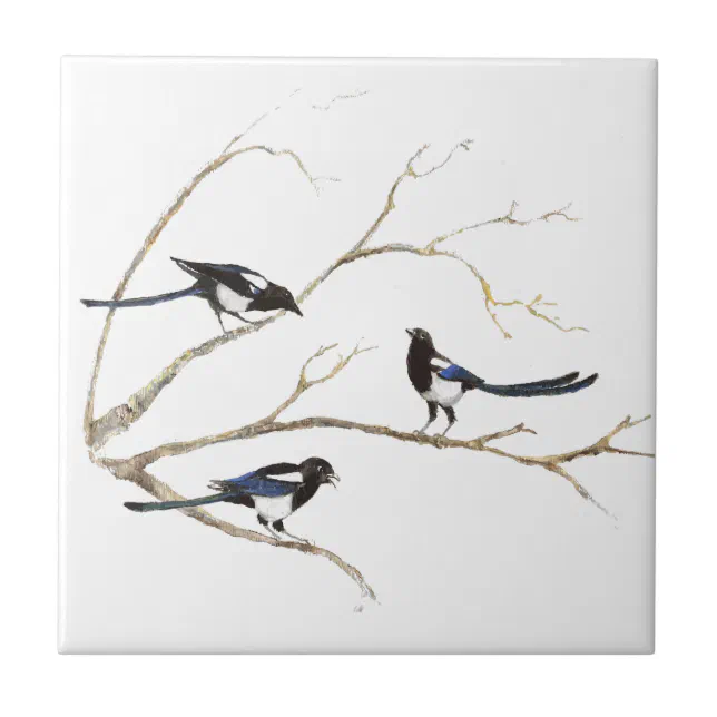 Watercolor Magpie Family Birds in Tree Ceramic Tile | Zazzle