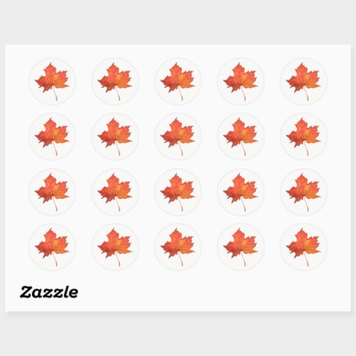 Watercolor Maple Leaf Classic Round Sticker | Zazzle