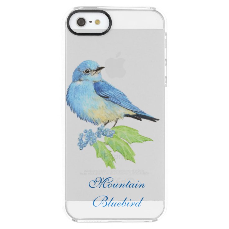Watercolor Mountain Bluebird Blue Bird Art for the Uncommon iPhone Case ...