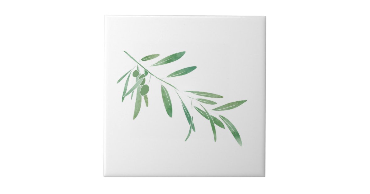 Watercolor Olive Branch Ceramic Tile | Zazzle