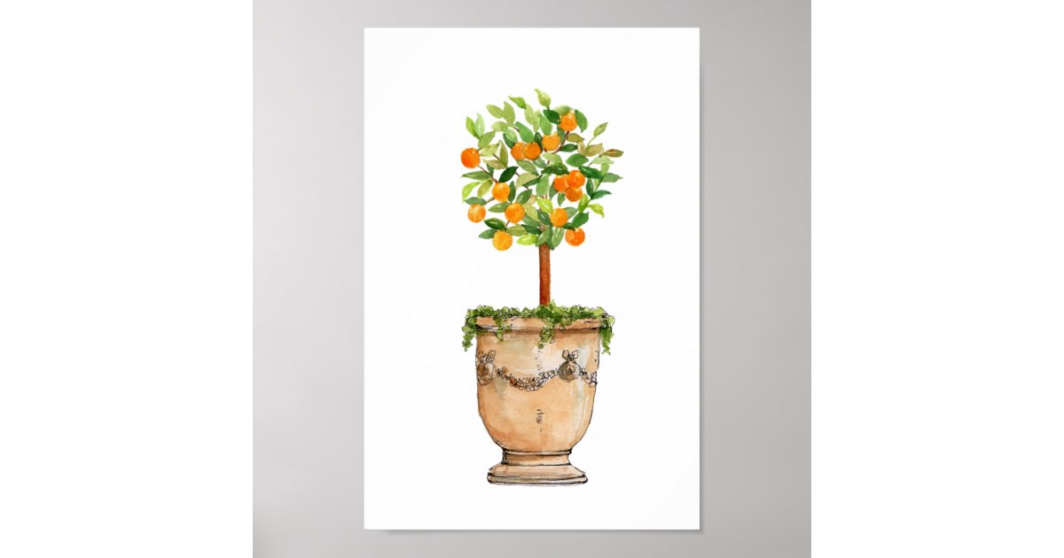 Watercolor Orange tree topiary in antique urn Poster | Zazzle