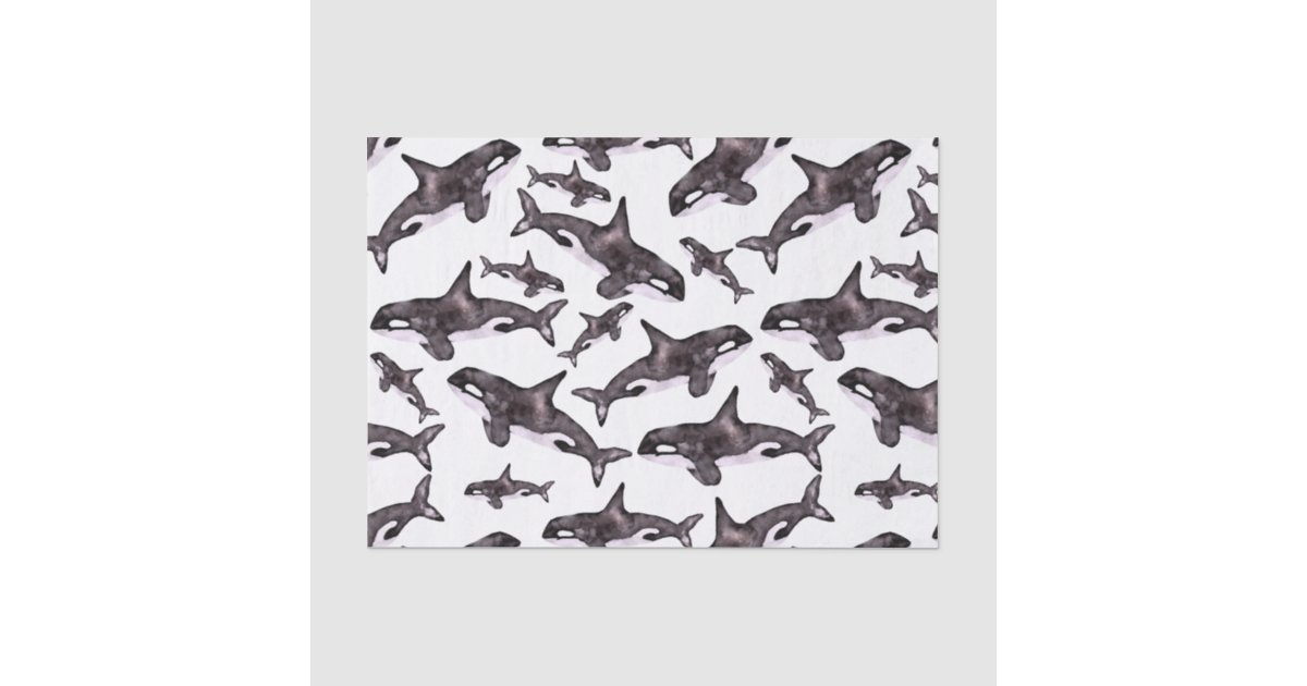 Watercolor Orca Tissue Paper | Zazzle