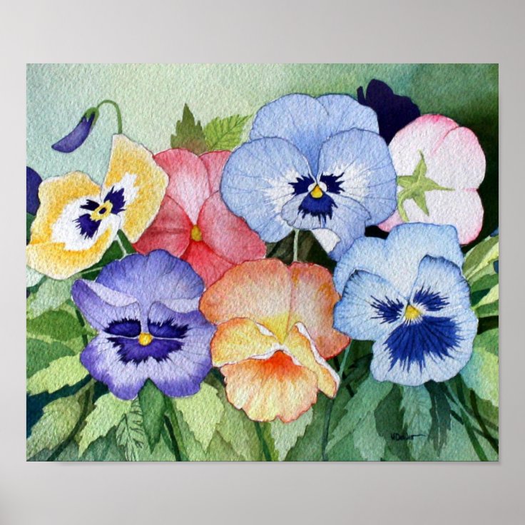 Watercolor Pansies II Art Print | Zazzle