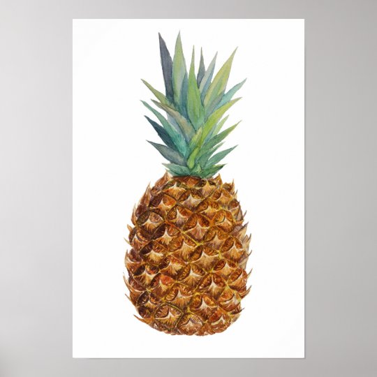 Watercolor pineapple poster | Zazzle.com