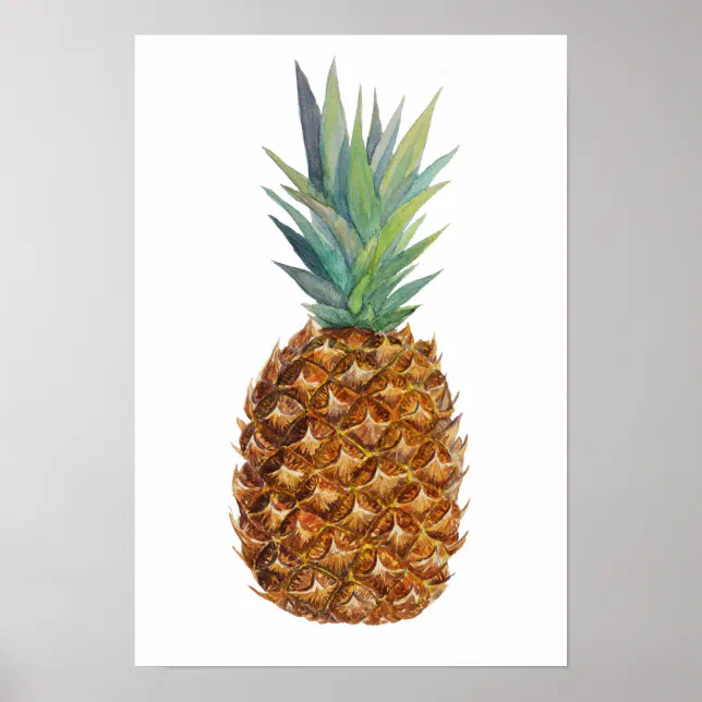 Watercolor pineapple poster | Zazzle