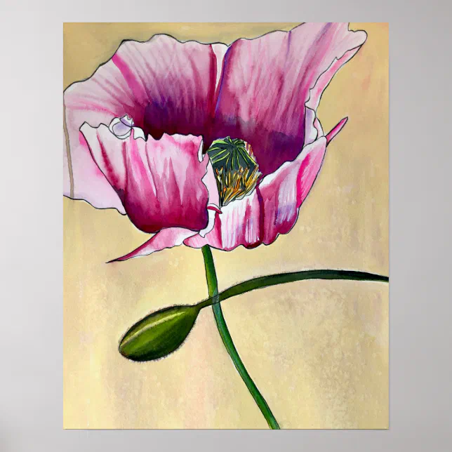 Watercolor pink poppy art flower poster | Zazzle