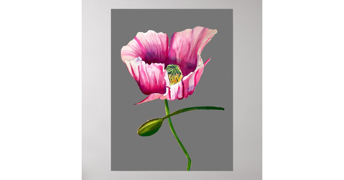 Watercolor pink poppy pretty flower poster | Zazzle