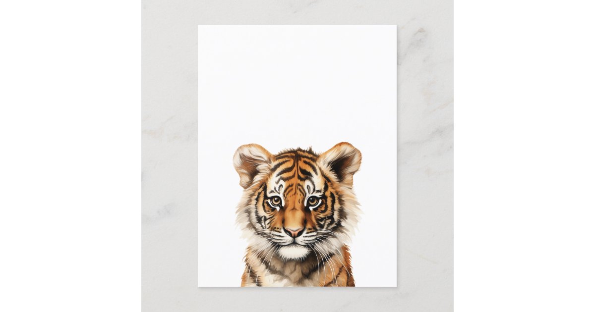 Watercolor Portrait of a Little Tiger Postcard | Zazzle