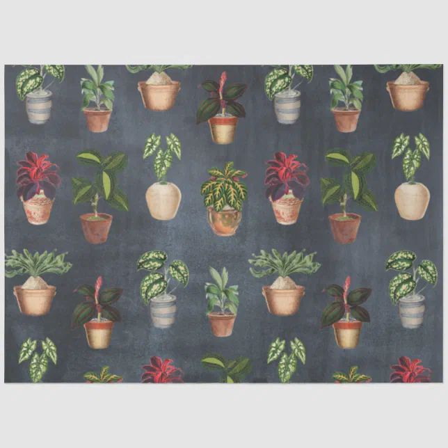 Watercolor Potted Plants Terracotta Pots Rustic Tissue Paper | Zazzle