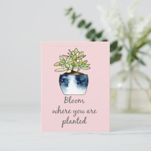 Watercolor Potted Succulent and Quote Postcard | Zazzle