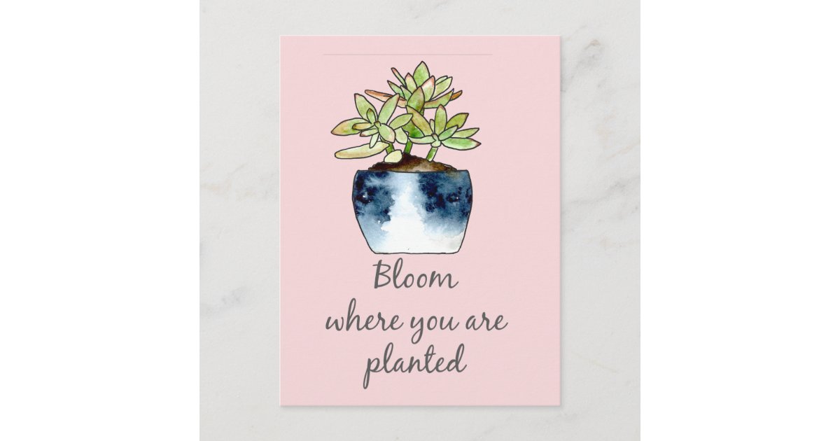Watercolor Potted Succulent and Quote Postcard | Zazzle