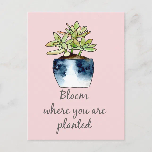 Watercolor Potted Succulent and Quote Postcard | Zazzle