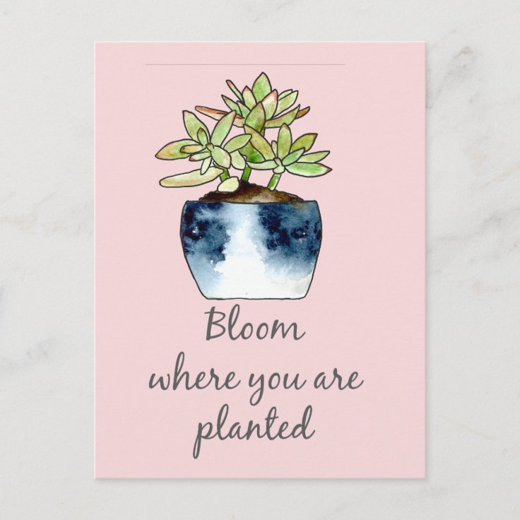 Watercolor Potted Succulent and Quote Postcard | Zazzle