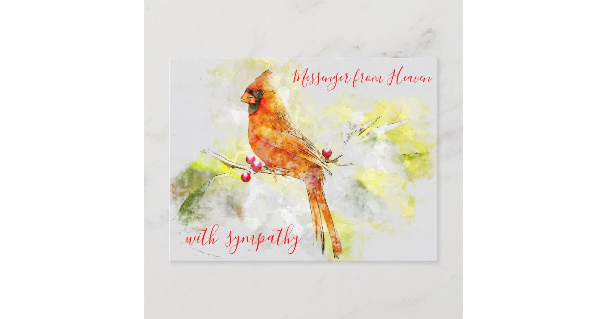 Watercolor Red Cardinal Messenger from Heaven Postcard | Zazzle
