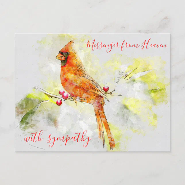 Watercolor Red Cardinal Messenger from Heaven Postcard | Zazzle
