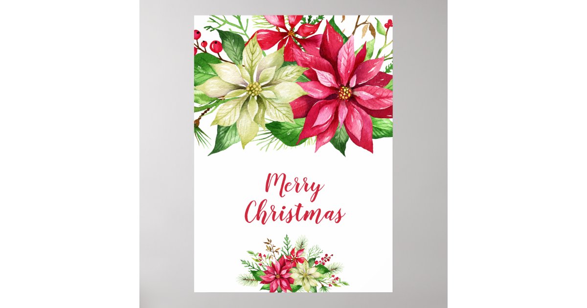 Watercolor Red White Poinsettia Floral Christmas Poster | Zazzle.com