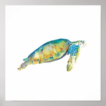 Watercolor Sea Turtle Poster | Zazzle