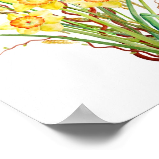 Watercolor spring flower daffodil poster | Zazzle