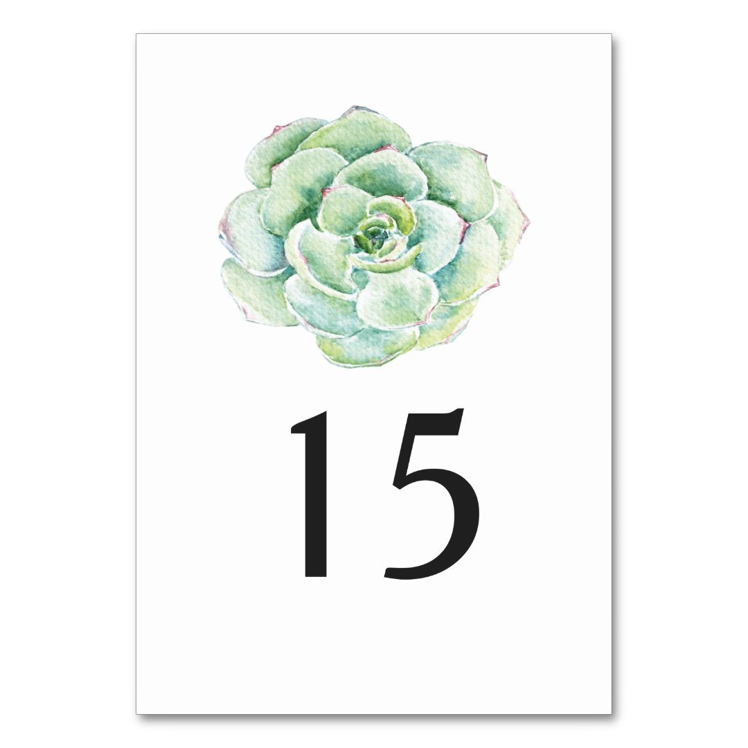 watercolor succulent wedding table number | Zazzle